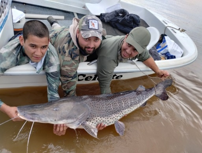 Evaluación de la población de Surubí en el río Uruguay | 03442 | NOTICIAS