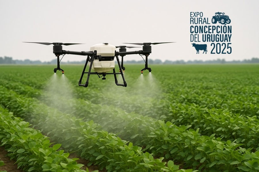 Expo Rural 2025: expertos del INTA explicarán cómo usar drones para ...
