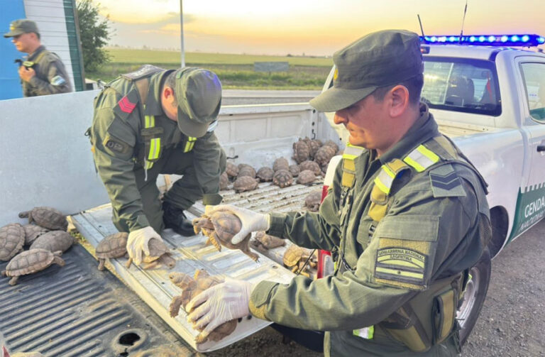 Escuadrón 46 «Rosario – Victoria» – Sección Seguridad Vial «Totoras ...